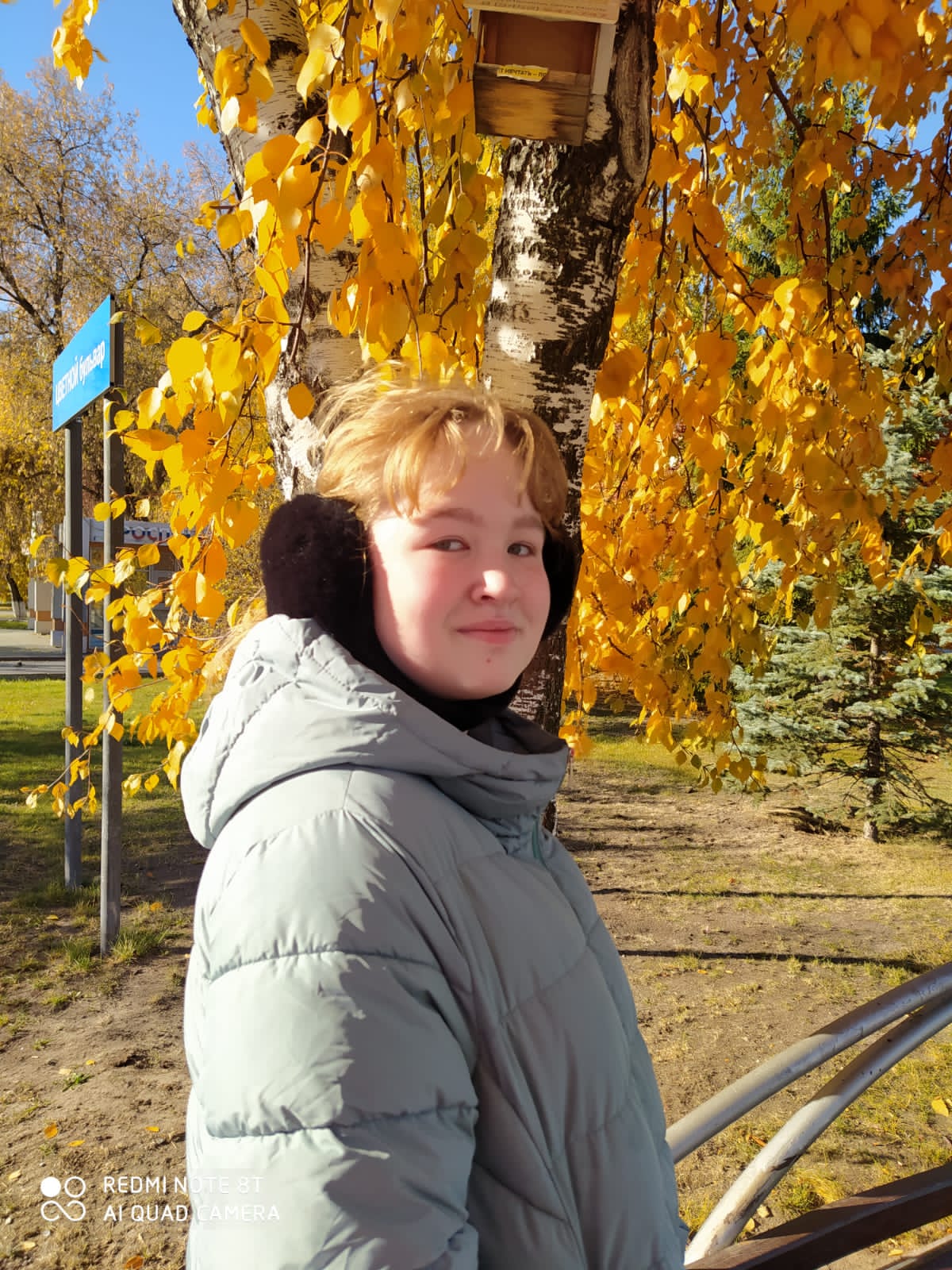 Портфолио